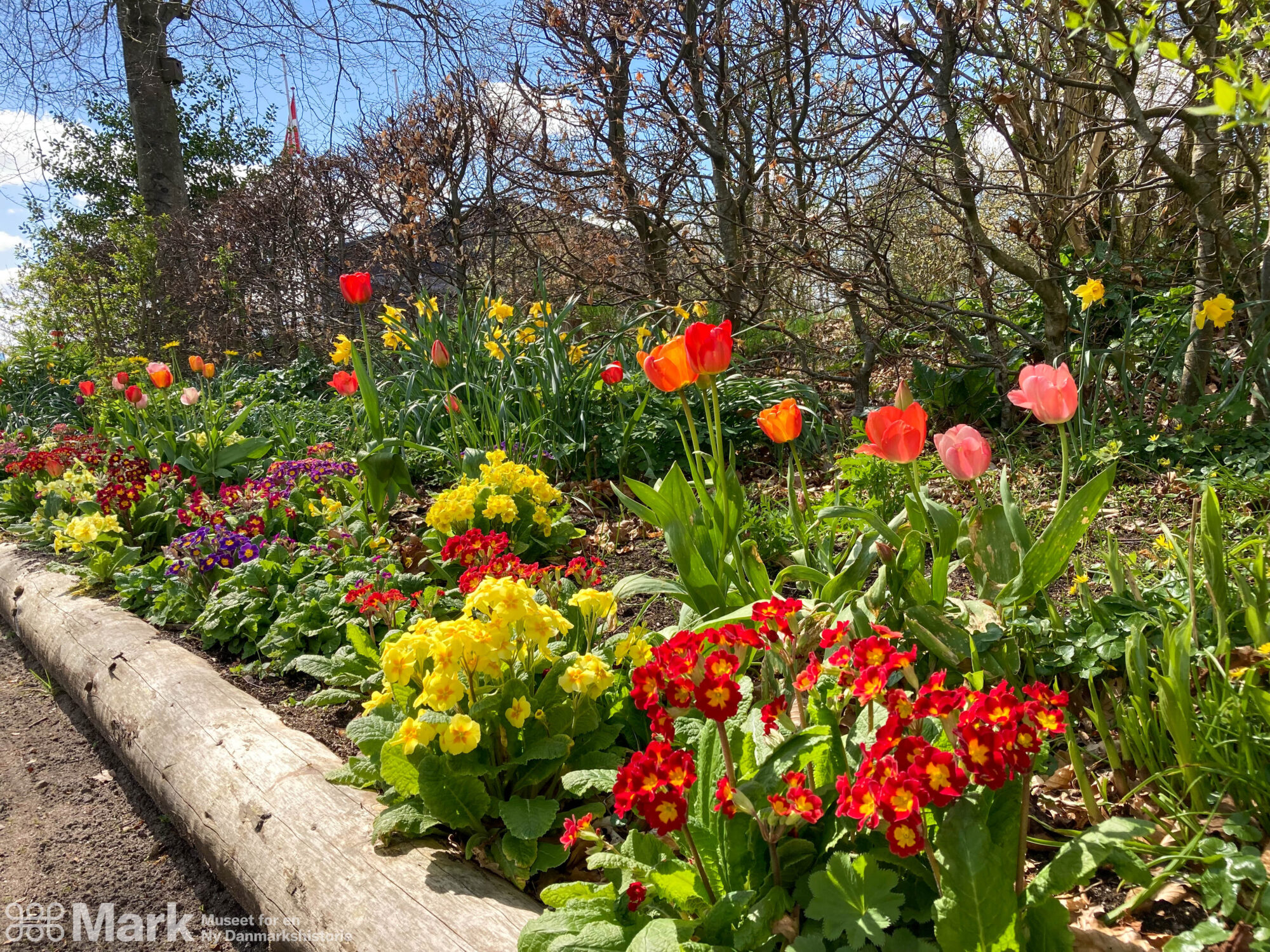 Historical Plant Market – Mark