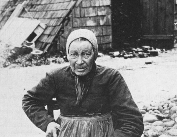 MuseumPlus-card – Mark